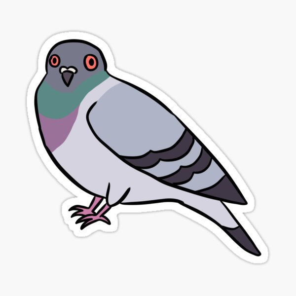 "Cute little pigeon " Sticker for Sale by Yarafantasyart | Redbubble