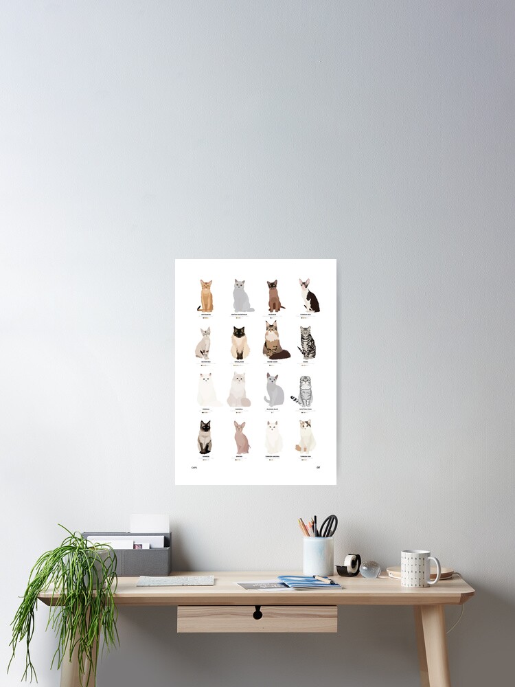 "Illustrated Cat Breeds Chart" Poster for Sale by Alo Design | Redbubble