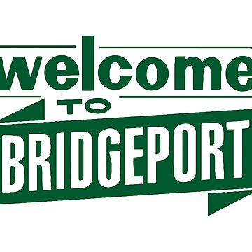 "Welcome to Bridgeport Chicago Neighborhood Sign " Sticker for Sale by ...