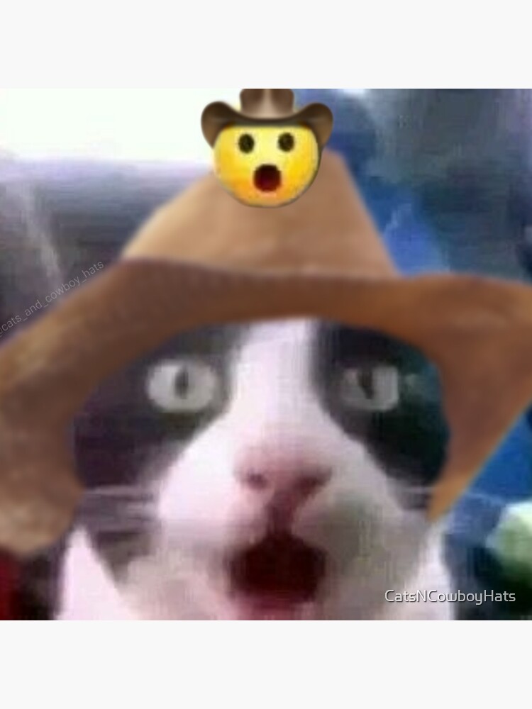 "Shocked Cowboy Cat" Sticker for Sale by CatsNCowboyHats | Redbubble