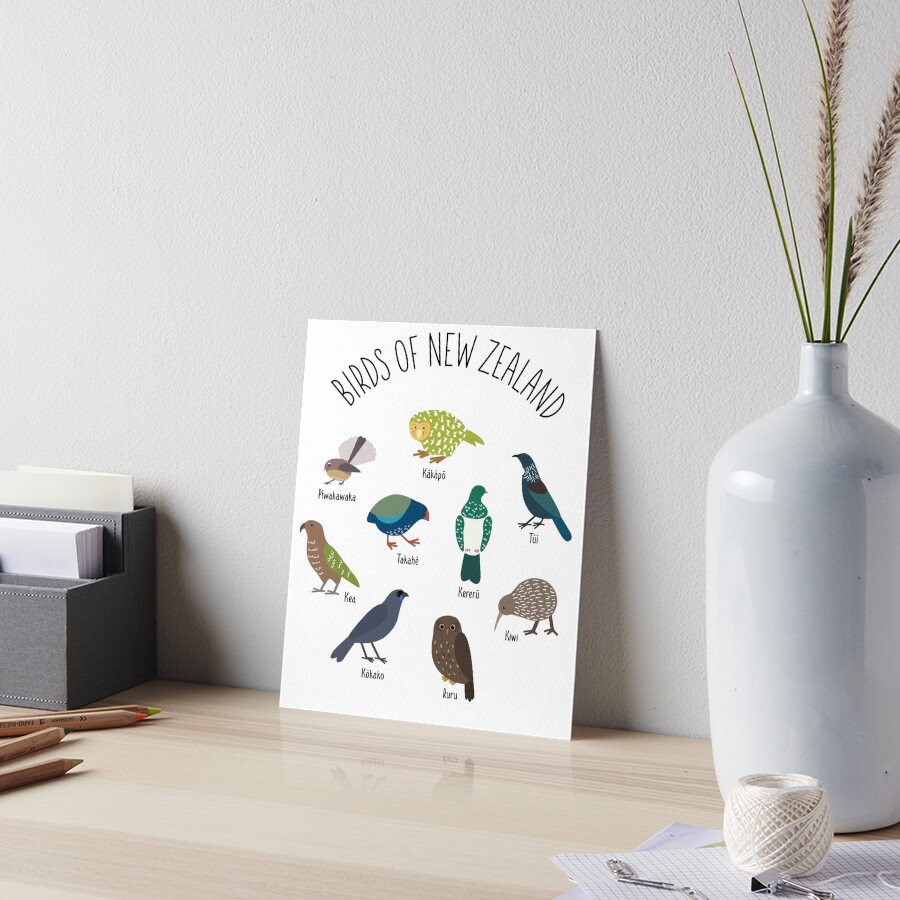 "Birds Of New Zealand - Kiwi, Kakapo, Tui, Fanatail, Kaka, Kea" Poster ...