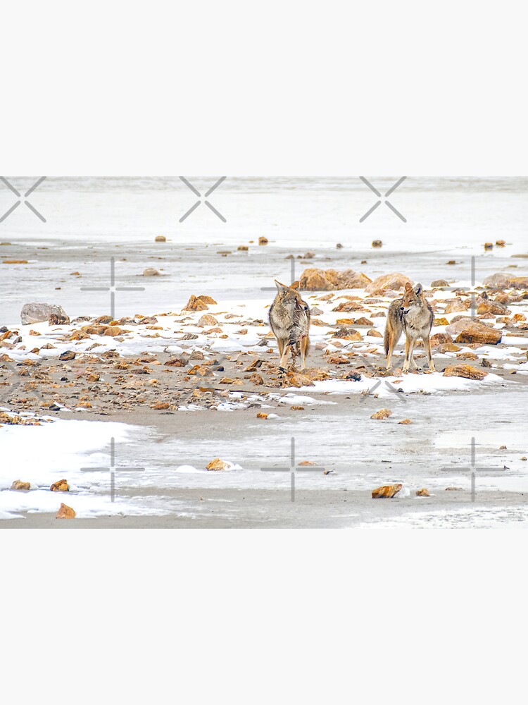 "Duck Hunting Buddies" Sticker for Sale by JJenPhotos | Redbubble