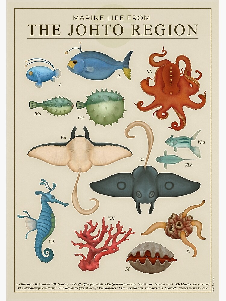 "Marine Life from Johto" Poster for Sale by julio-lacerda | Redbubble