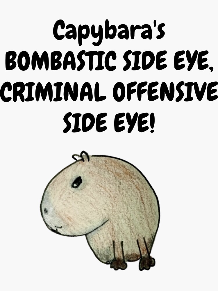 "Capybara's Bombastic Side Eye!" Sticker for Sale by vintra167 | Redbubble