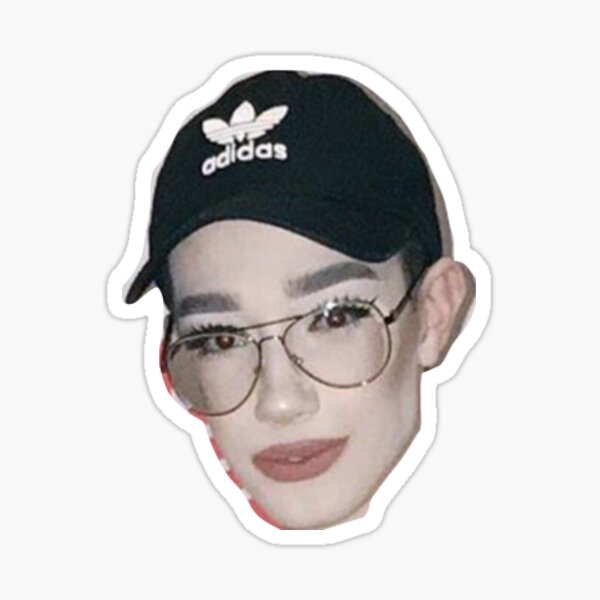 "Flashback Mary" Sticker for Sale by shannengreen | Redbubble