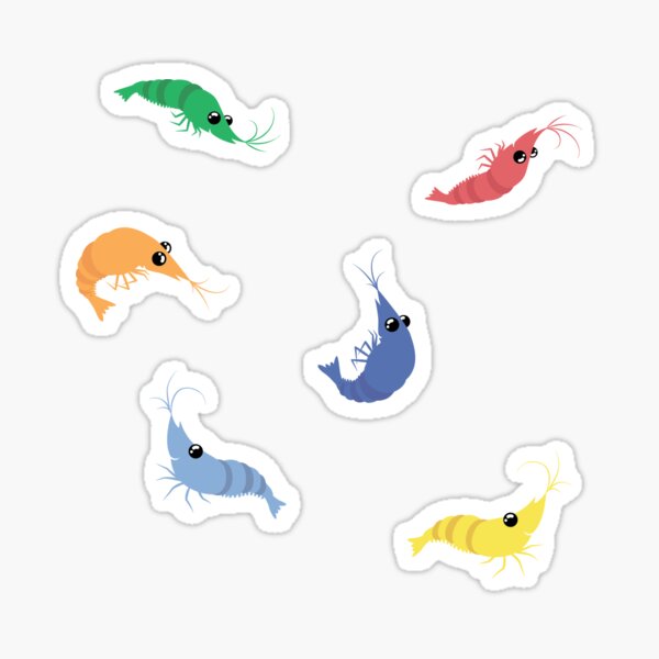 "Shrimp" Sticker for Sale by FishWiki | Redbubble