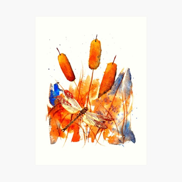 "Dragonfly and Cattails" Art Print by dholland57 | Redbubble