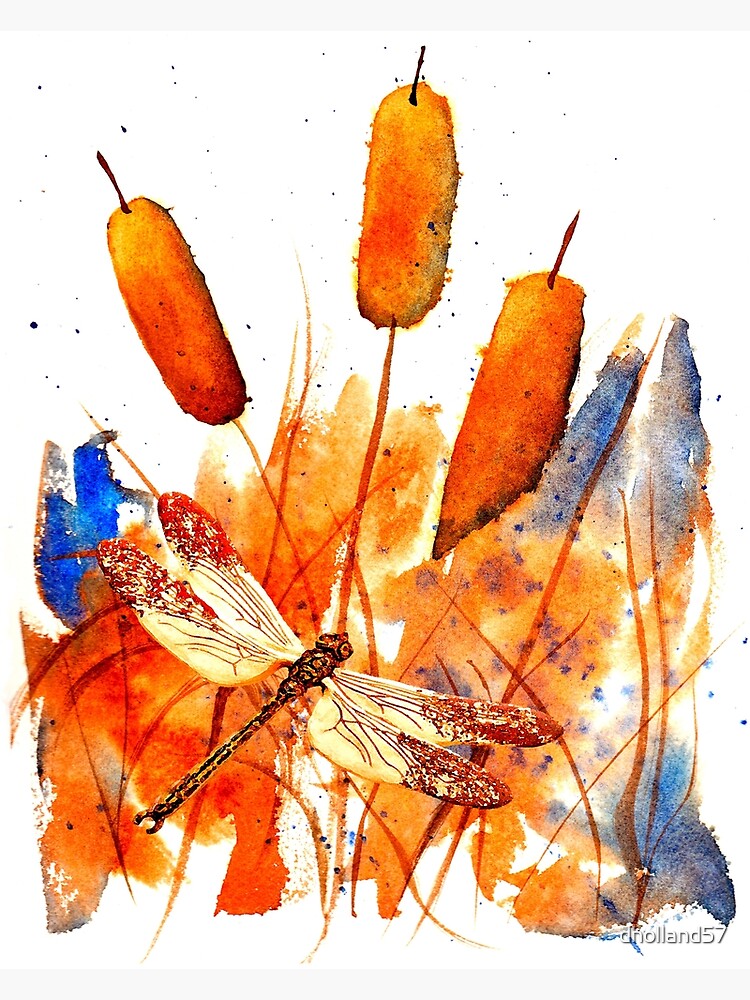 "Dragonfly and Cattails" Art Print by dholland57 | Redbubble
