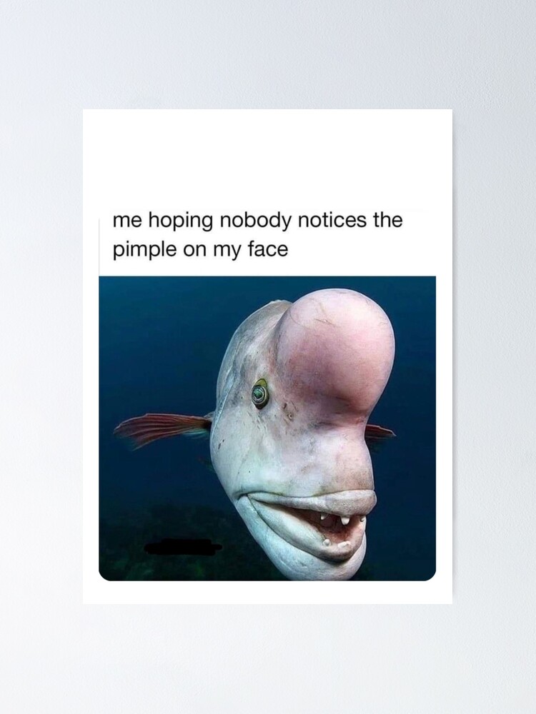 "Pimple Face meme" Poster for Sale by Thehuskysshop | Redbubble
