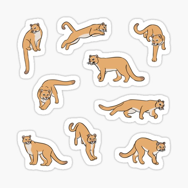"Cute mountain lions pack " Sticker for Sale by Yarafantasyart | Redbubble