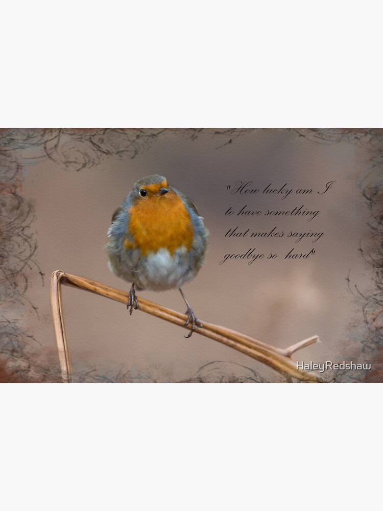 "Robin's message of sympathy " Sticker for Sale by HaleyRedshaw | Redbubble