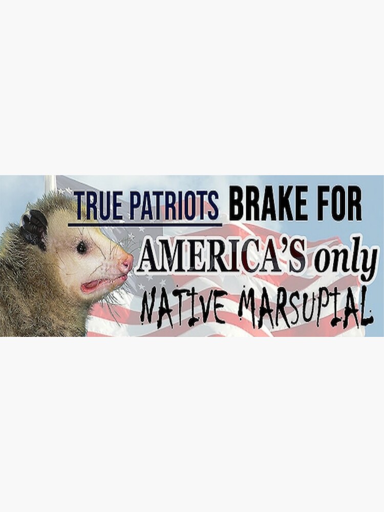 "TRUE PATRIOTS BRAKE FOR AMERICA'S only NATIVE MARSUPIAL" Sticker for ...