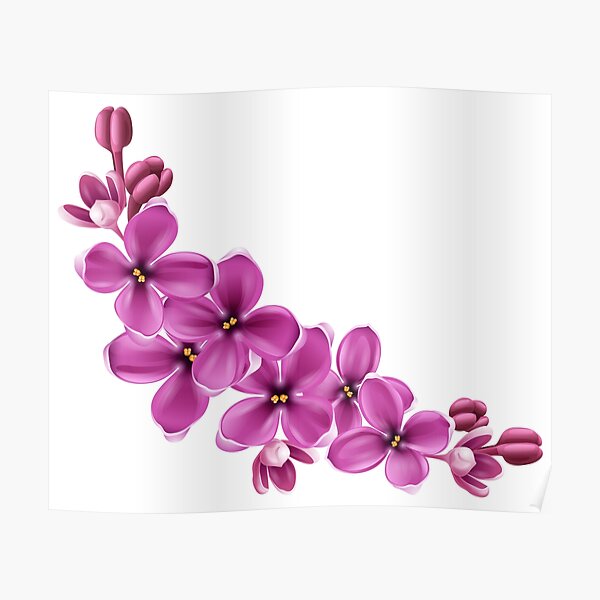 "Orcadia Artwork" Poster by mjb050375 | Redbubble