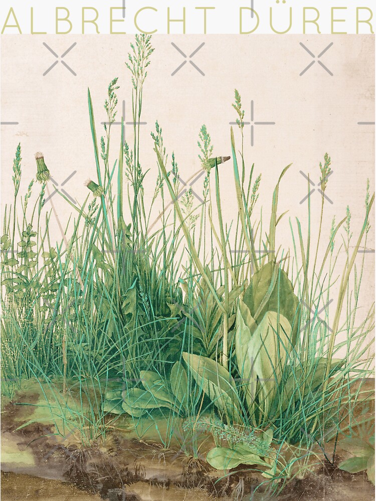 "Albrecht Dürer - Great Piece of Turf" Sticker for Sale by TwistedCity ...