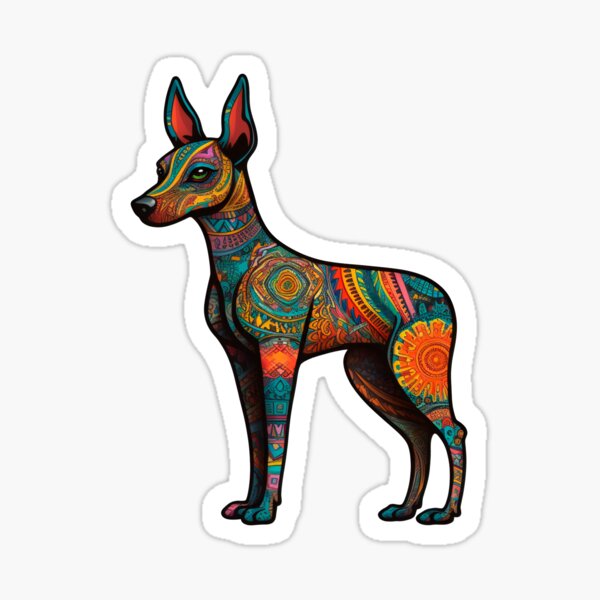 Xoloitzcuintle Animado 570+ Mexican Hairless Xoloitzcuintle Dog Stock