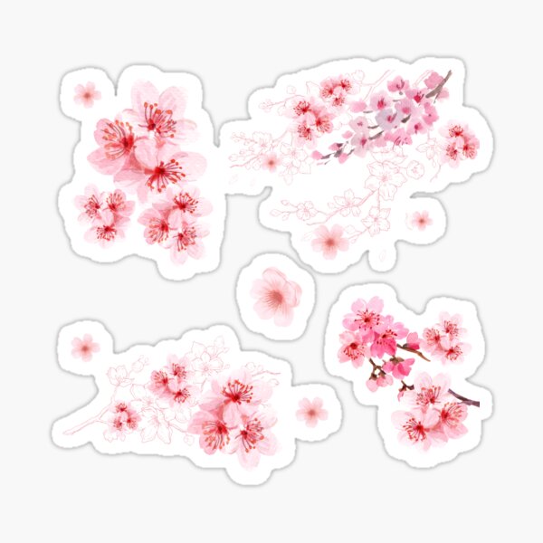"Spring Flower - Cherry blossom" Sticker for Sale by aywchen | Redbubble