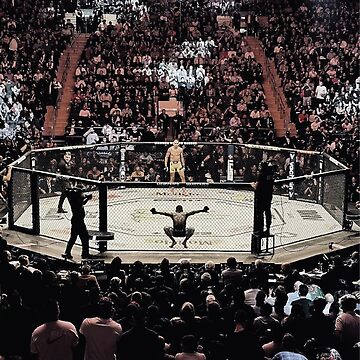 "Alex "Poatan" Pereira vs. Israel "Stylebender" Adesanya UFC ...