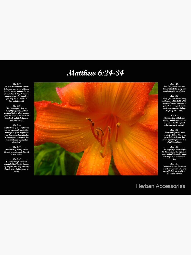 "Matthew 6:24-34" Poster by micreusa | Redbubble