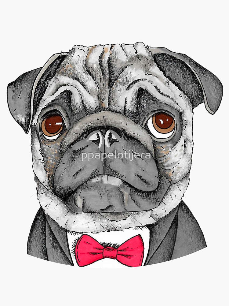 "Mr Pug" Sticker by ppapelotijera | Redbubble