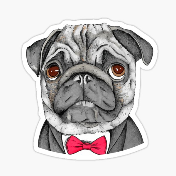 "Mr Pug" Sticker by ppapelotijera | Redbubble