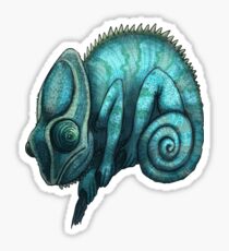 Chameleon: Stickers | Redbubble