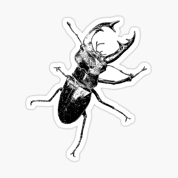 "Stag beetle" Sticker for Sale by Guardi71 | Redbubble