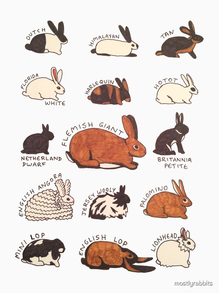 "Rabbit Breeds" T-shirt for Sale by mostlyrabbits | Redbubble | rabbit ...