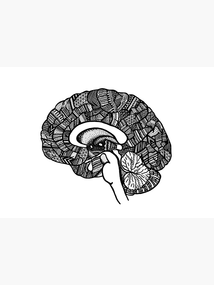 "Doodle Brain" Framed Art Print for Sale by JaymeC | Redbubble