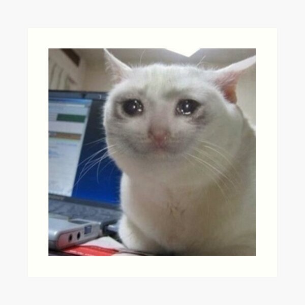 "Crying cat meme" Art Print by Carou | Redbubble