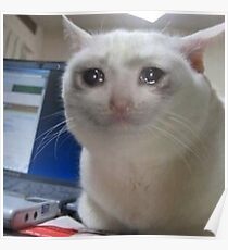 Gato Llorando: Pósters | Redbubble