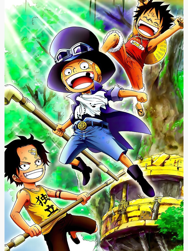 "One Piece Anime and Manga" Postcard for Sale by TammiMToner | Redbubble