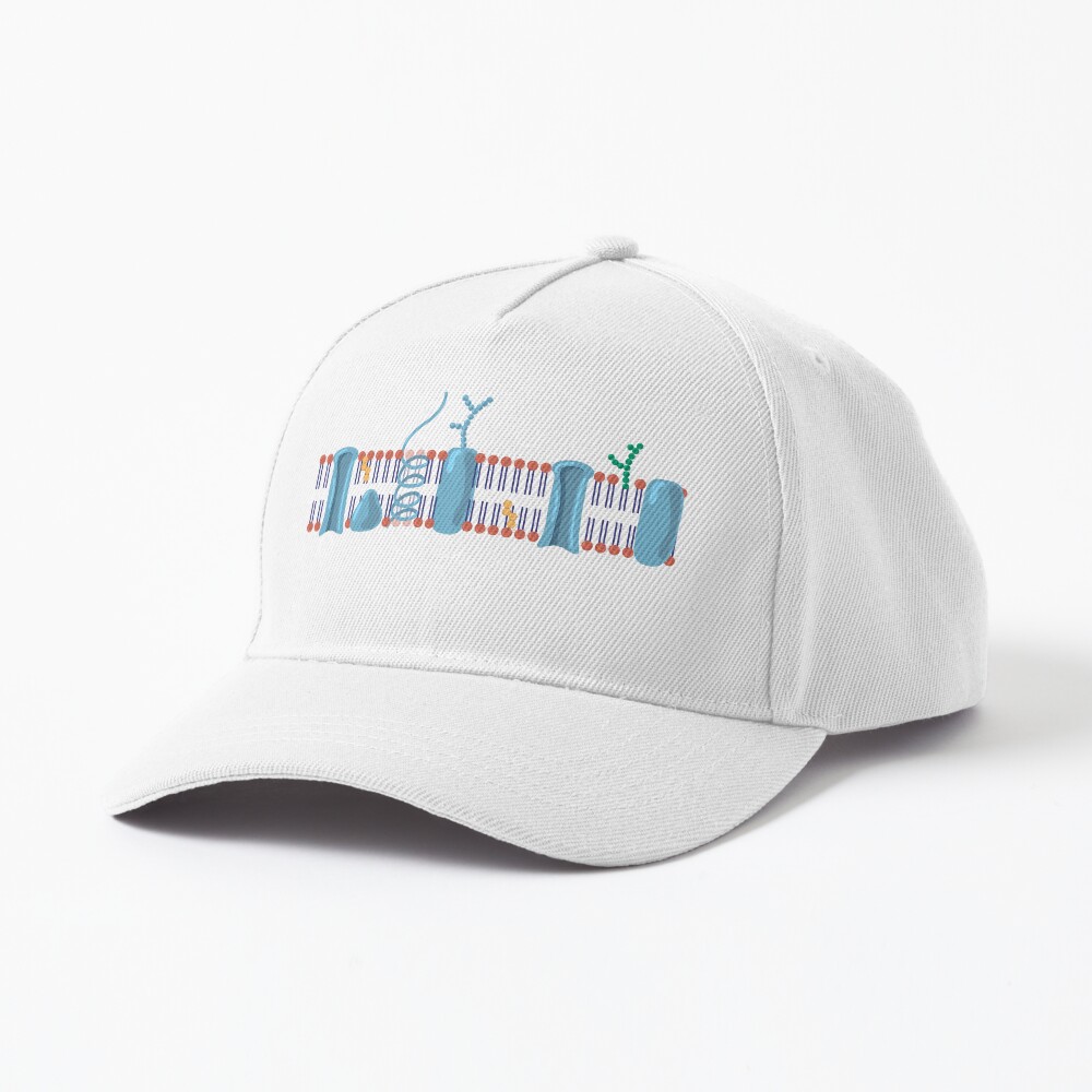 "Lipid Bilayer" Sticker for Sale by reesarobinson | Redbubble