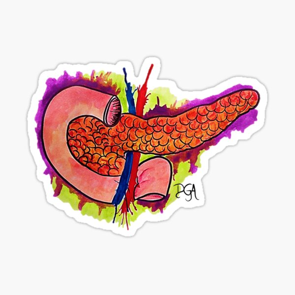 "Pancreas" Sticker for Sale by DanielaGaleanoA | Redbubble
