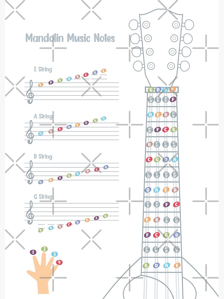 Mandolin music nout Poster, Mandolin Chart Print, Student Poster, Music ...
