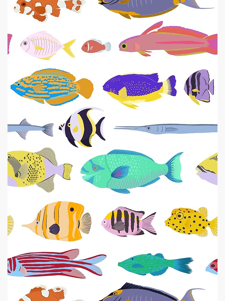 Rainbow tropical reef fish Premium Matte Vertical Poster sold by Tion ...