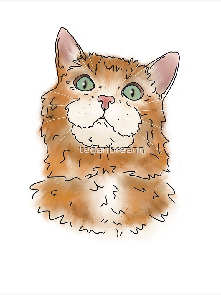 "Butter the Cat (Transparent)" Framed Art Print by teganbreann | Redbubble