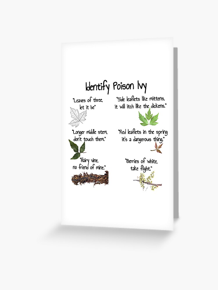 "Identify poison ivy plant | Poison Ivy Rhyme | Camping Shirt ...