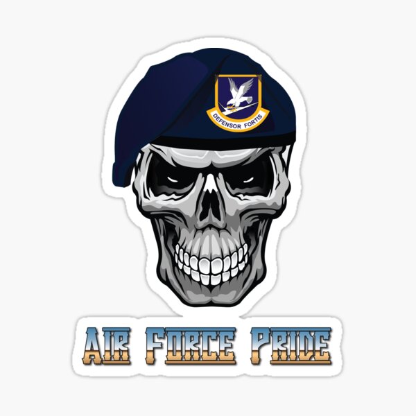 "Defensor Fortis Air Force Pride" Sticker for Sale by TeamBride | Redbubble