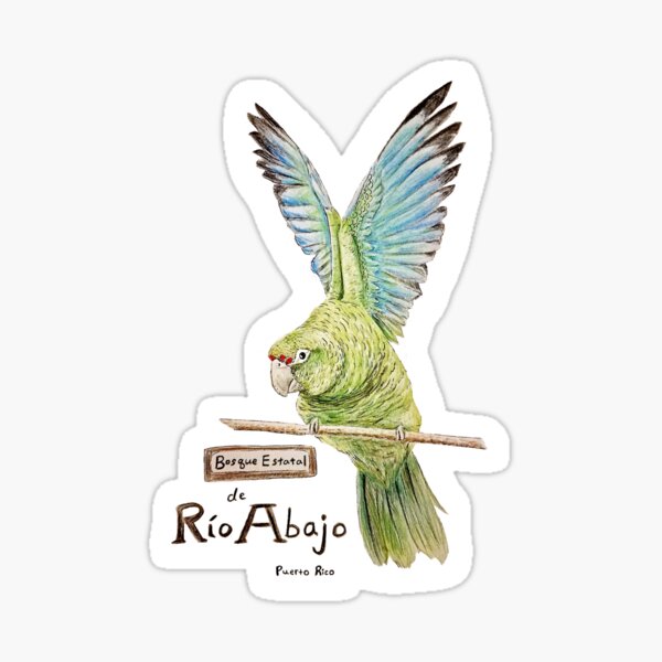 "Bosque Estatal de Río Abajo" Sticker for Sale by Katherine Grace ...