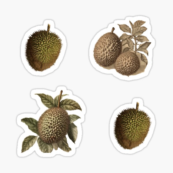 "vintage botanical durian fruits stickerpack" Sticker for Sale by ...