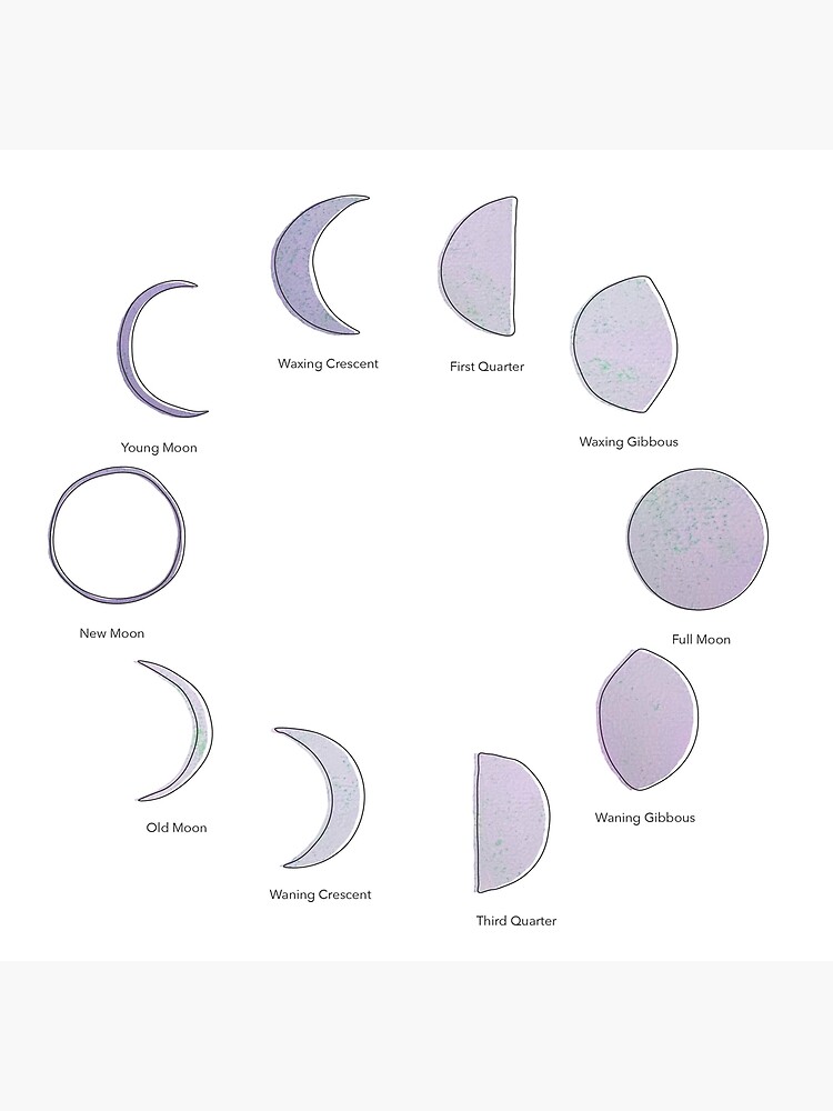 Moon Phases Premium Matte Vertical Poster sold by Greg Johnson | SKU ...