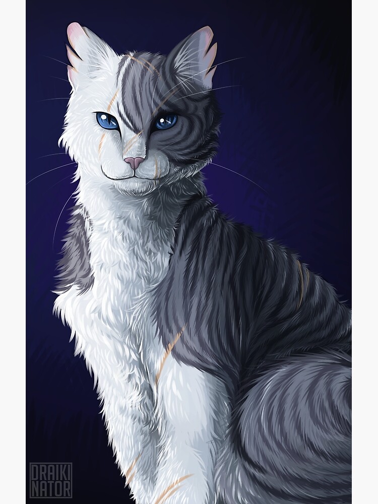 "Ivypool" Photographic Print for Sale by Draikinator | Redbubble