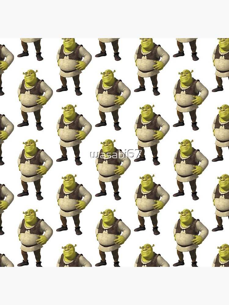 "Shrek Has Layers, Ogres Have Layers" Acrylic Block by wasabi67 | Redbubble