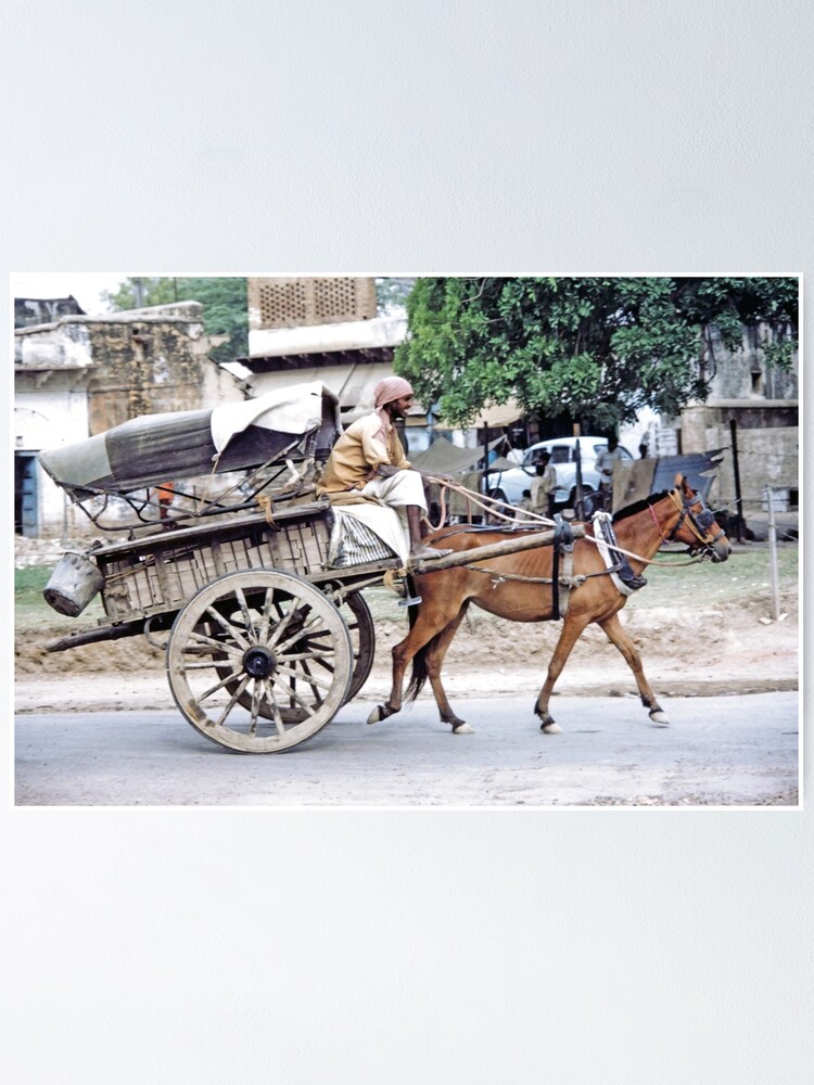 Horse Drawn Gari