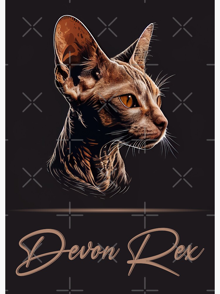 "Devon Rex" Sticker for Sale by Best-Breeds | Redbubble