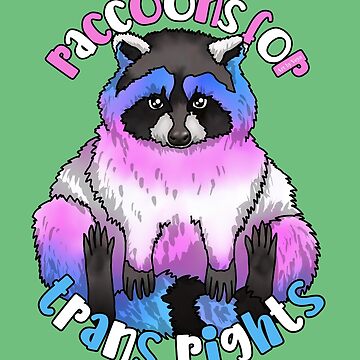 "Raccoons For Trans Rights 2023" Sticker for Sale by artbyveya | Redbubble