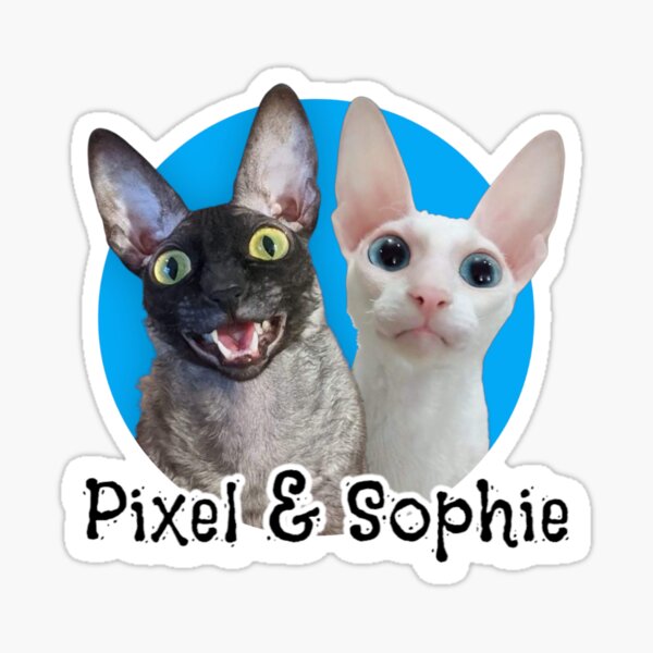 "Pixel & Sophie Logo 2023" Sticker for Sale by Pixel & Sophie | Redbubble