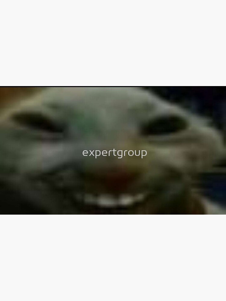 "Laughing Cat - xdd emote" Sticker for Sale by expertgroup | Redbubble