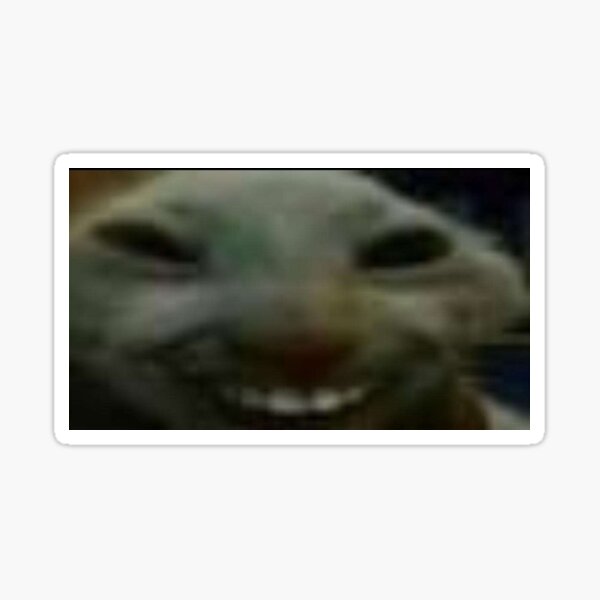 "Laughing Cat - xdd emote" Sticker for Sale by expertgroup | Redbubble