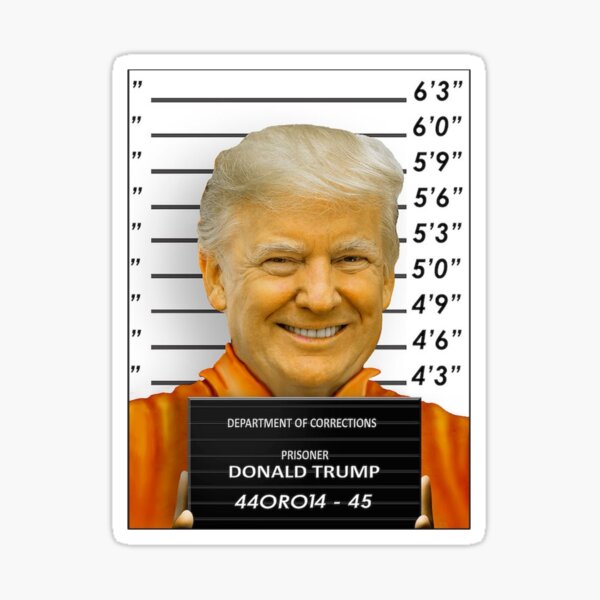 "TRUMP MUG SHOT" Sticker for Sale by Owen Garcia | Redbubble